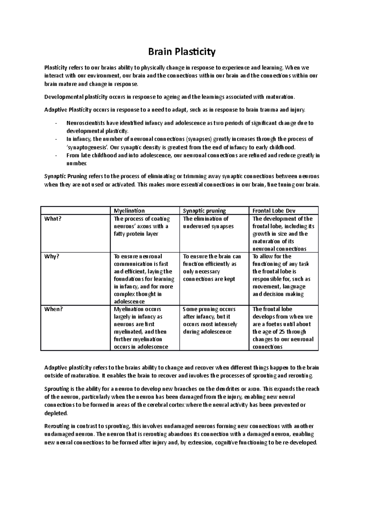 The brain and how it's plasticity works - Brain Plasticity Plasticity ...