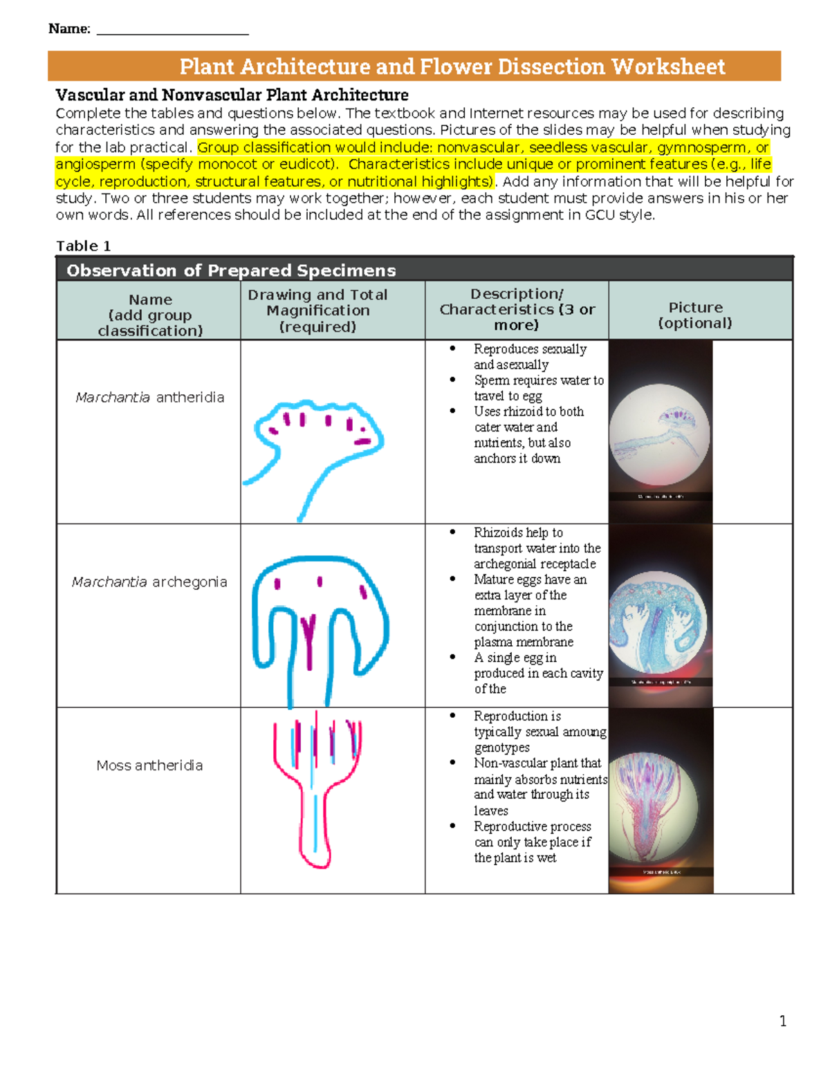 Plant Anatomy EFisher - Plant Architecture and Flower Dissection ...