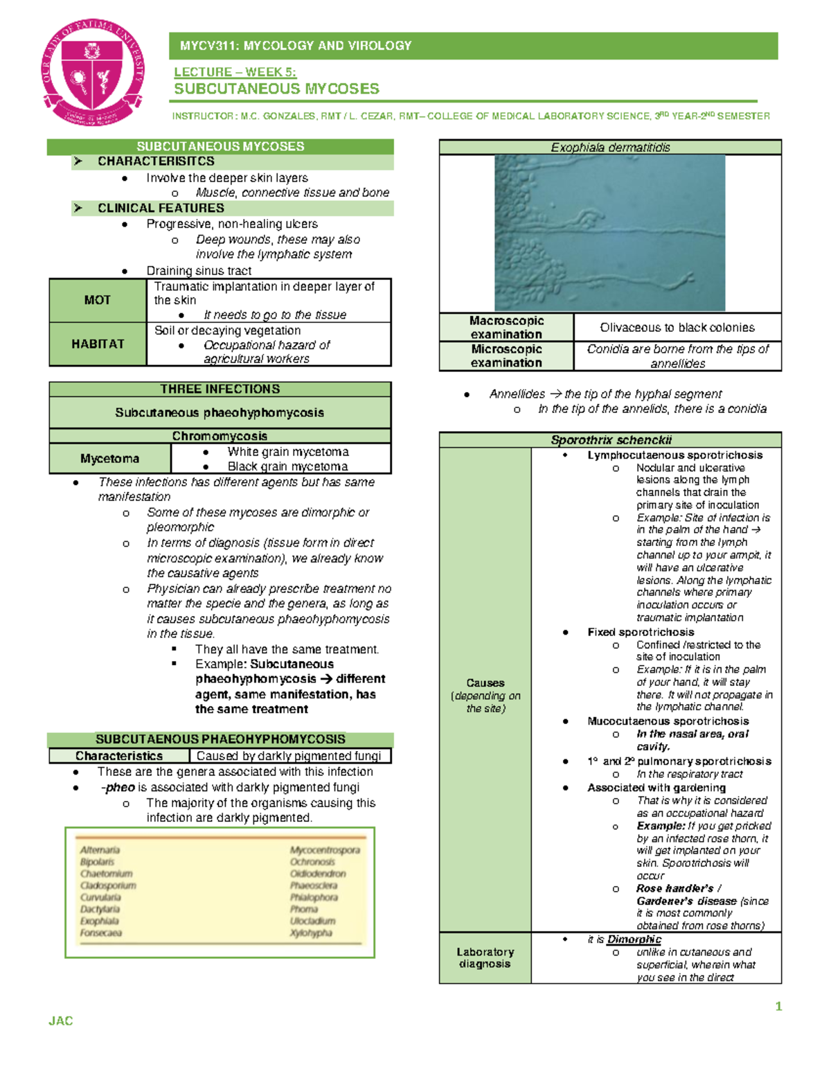 MYCV WEEK 5 Subcu - 1 LECTURE – WEEK 5: SUBCUTANEOUS MYCOSES INSTRUCTOR ...
