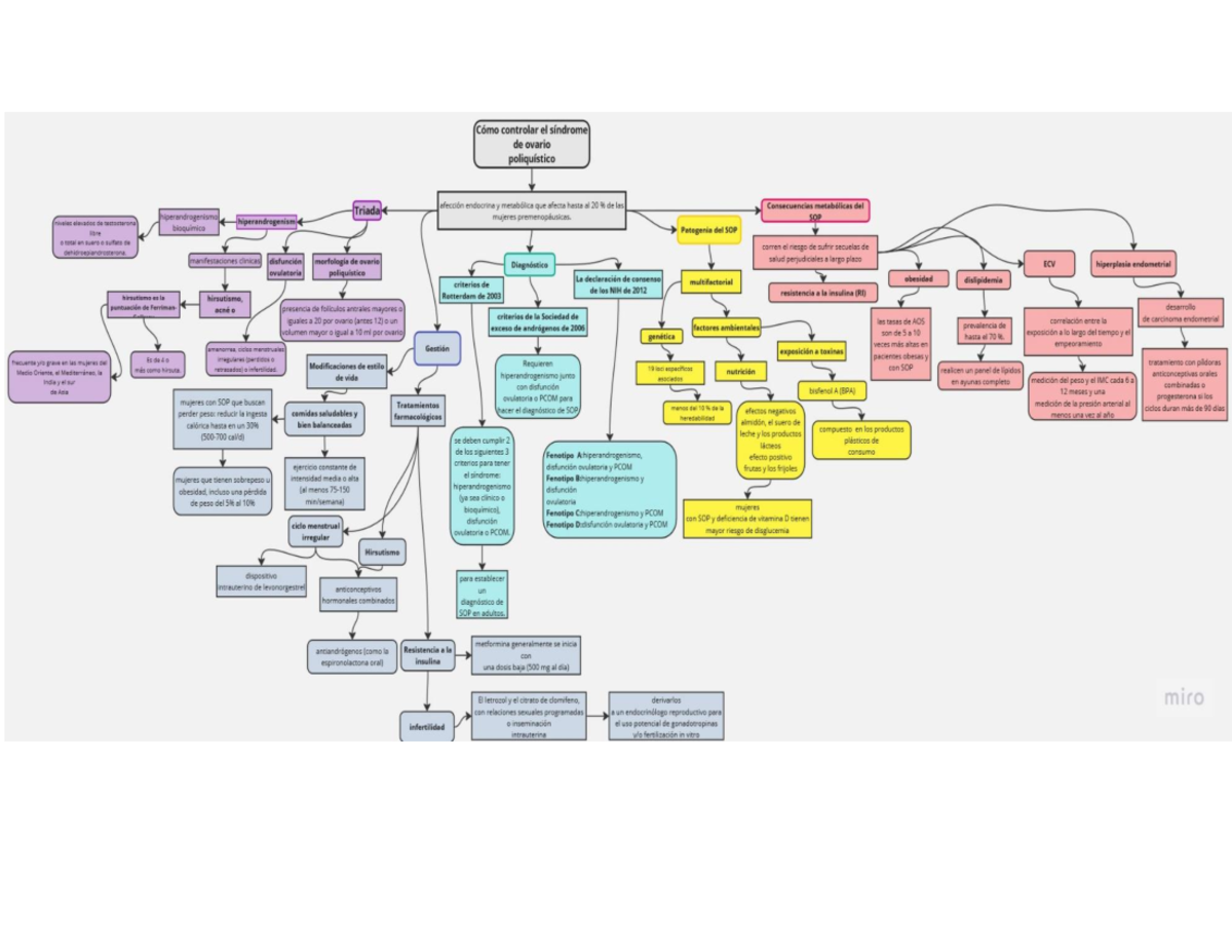 Mapa Conceptual - Doctor en Medicina y Cirugia - Studocu
