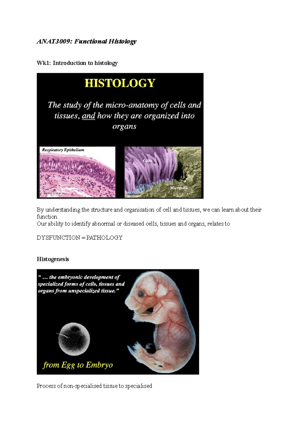 ANAT3009 - lecture note - ANAT3009: Functional Histology Wk1 ...