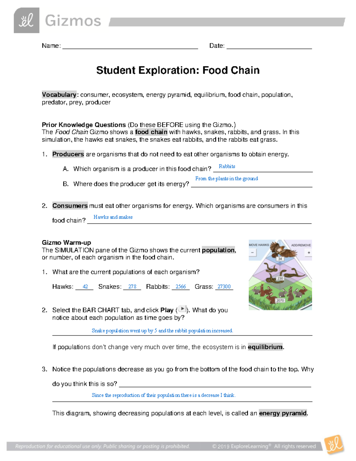 Gizmo Food Chains and Energy - Name ...