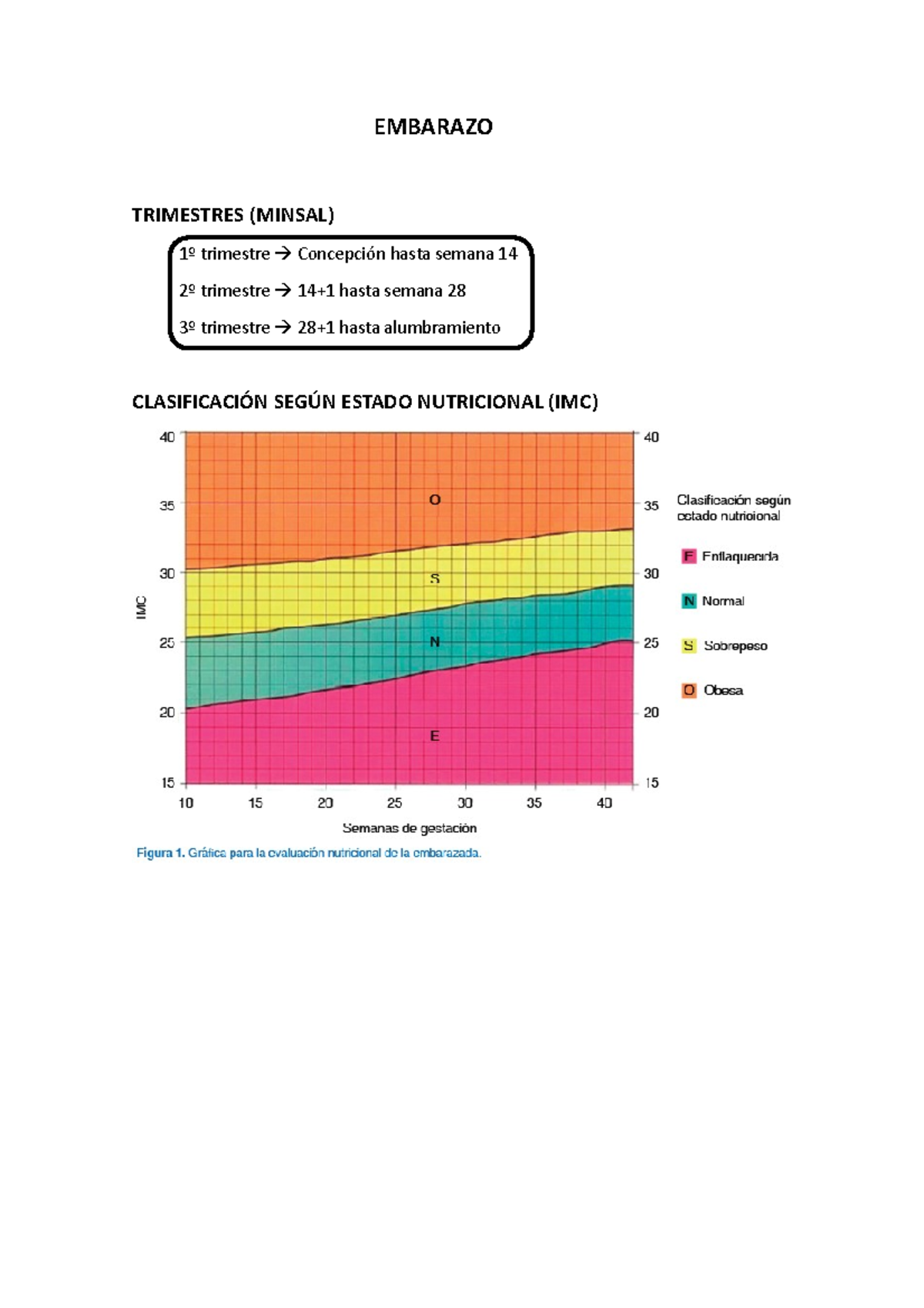 Portafolio Embarazo - Documento que incluye lo esencial para evaluacion nutricional de persona ...
