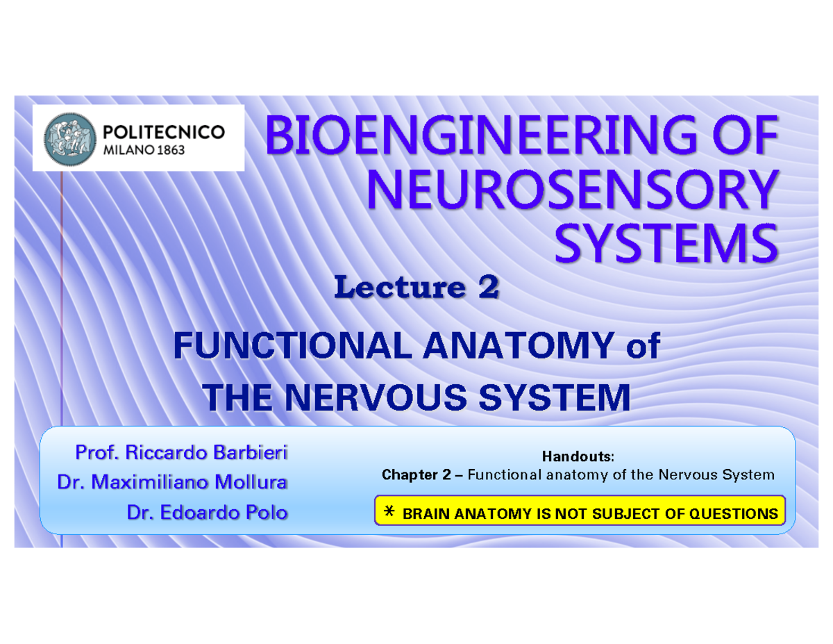 02 CNS Overview - Appunti lezione - BIOENGINEERING OF NEUROSENSORY ...