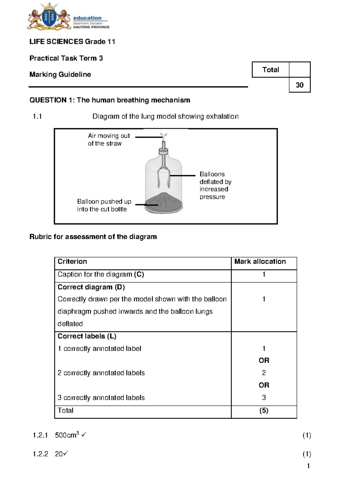 Term 3 Gr.11 Practical TASK MEMO 2021 edited 28 July - LIFE SCIENCES Grade 1 1 Practical Task ...