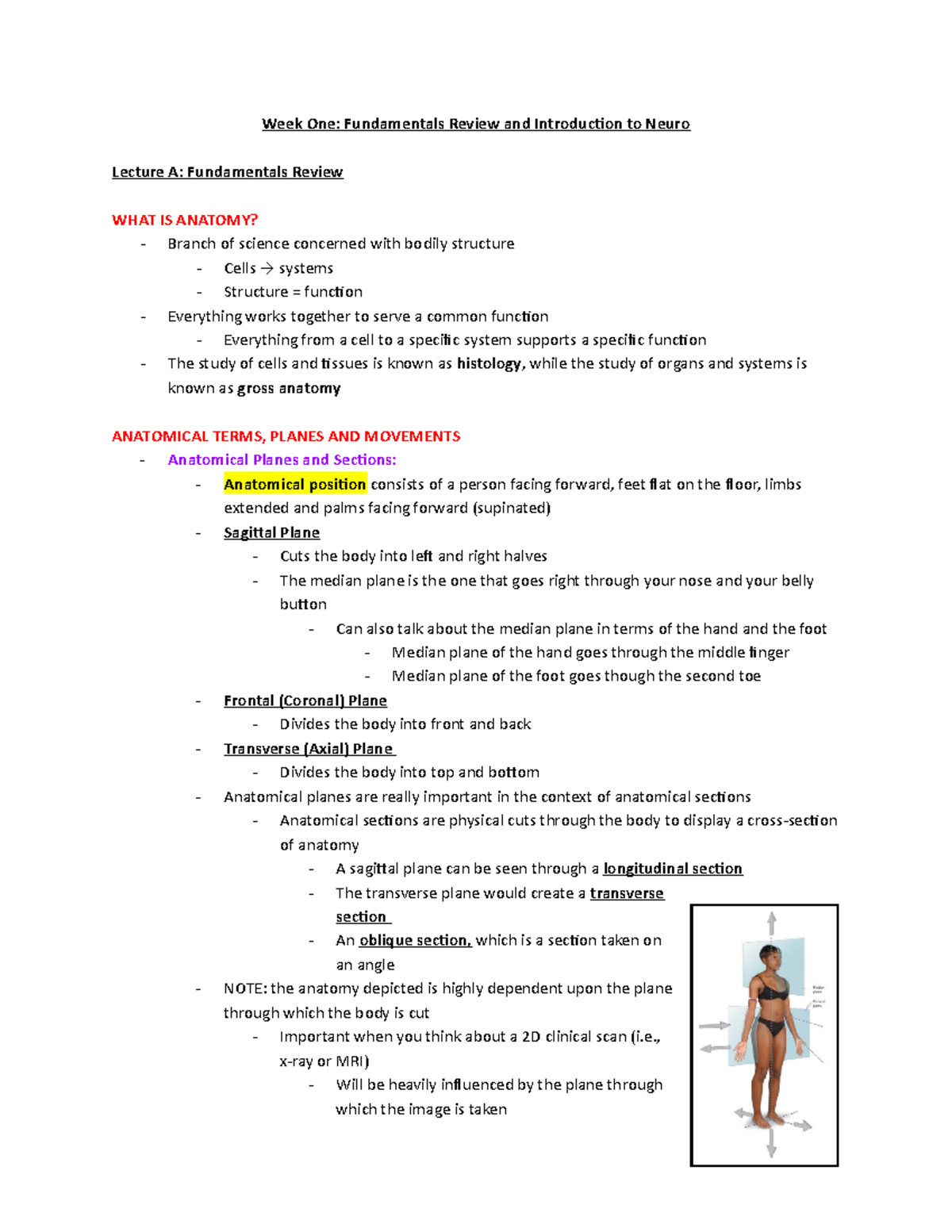 Week 1 Anatomy Fundamentals Review and Introduction to Neuro - Week One ...