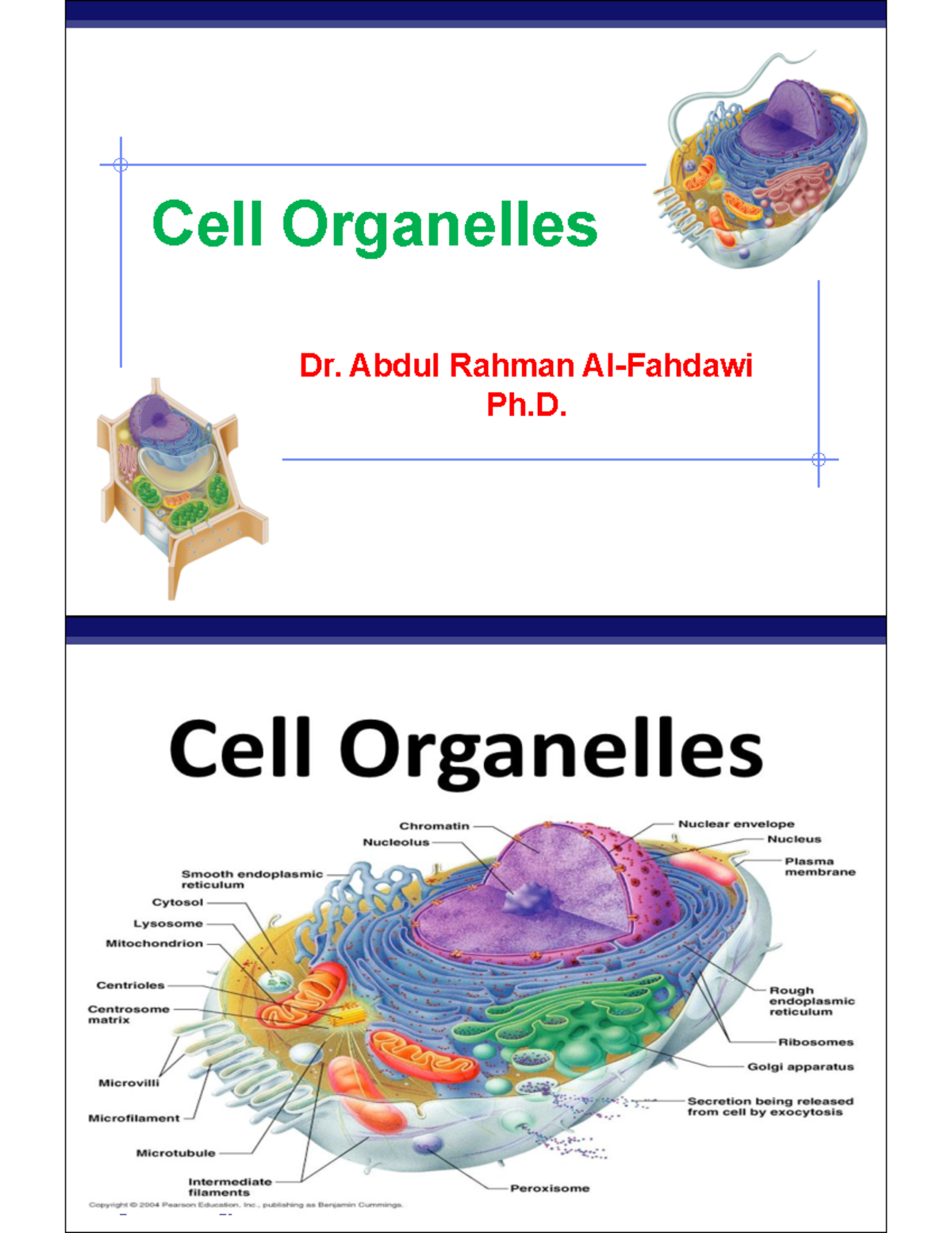 Cell Organelles - AP Biology Cell Organelles Dr. Abdul Rahman Al ...