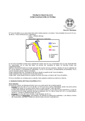 Surviving-Sepsis-Guideline-Infographic-Spanish-Translations ...
