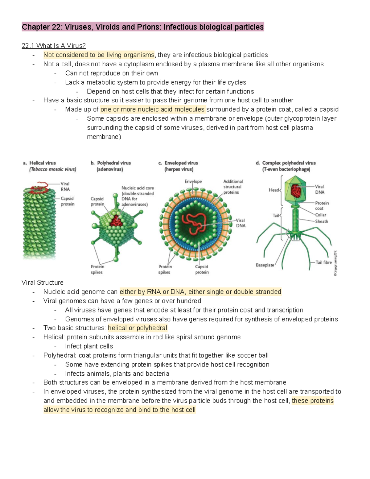 Biology 1001A - Practice stuff for first year bio - Chapter 22: Viruses ...
