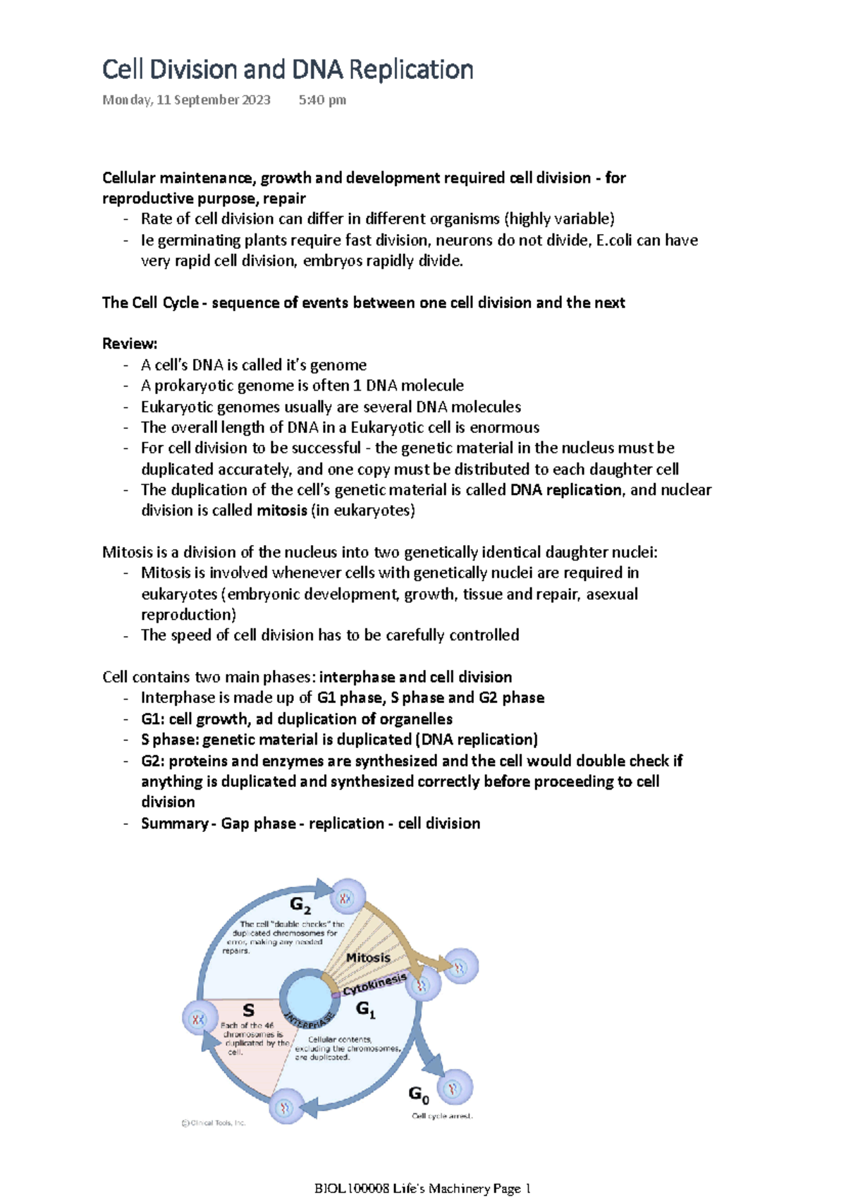 Cell Division and DNA Replication - Cellular maintenance, growth and ...