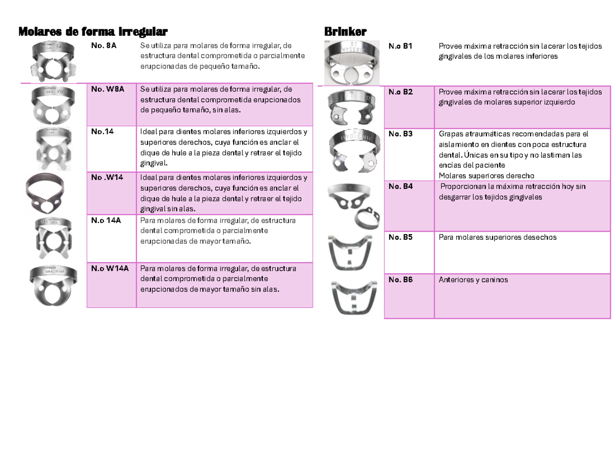 Grapas 2 - Funciones de cada grapa dental - Molares de forma irregular ...