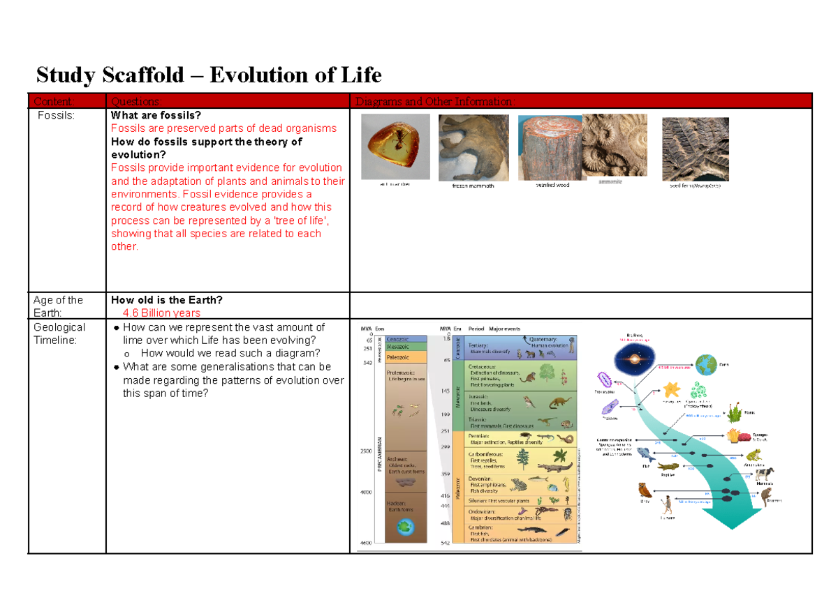 Science Study Scaffold Term 4 2023 - Study Scaffold – Evolution of Life ...