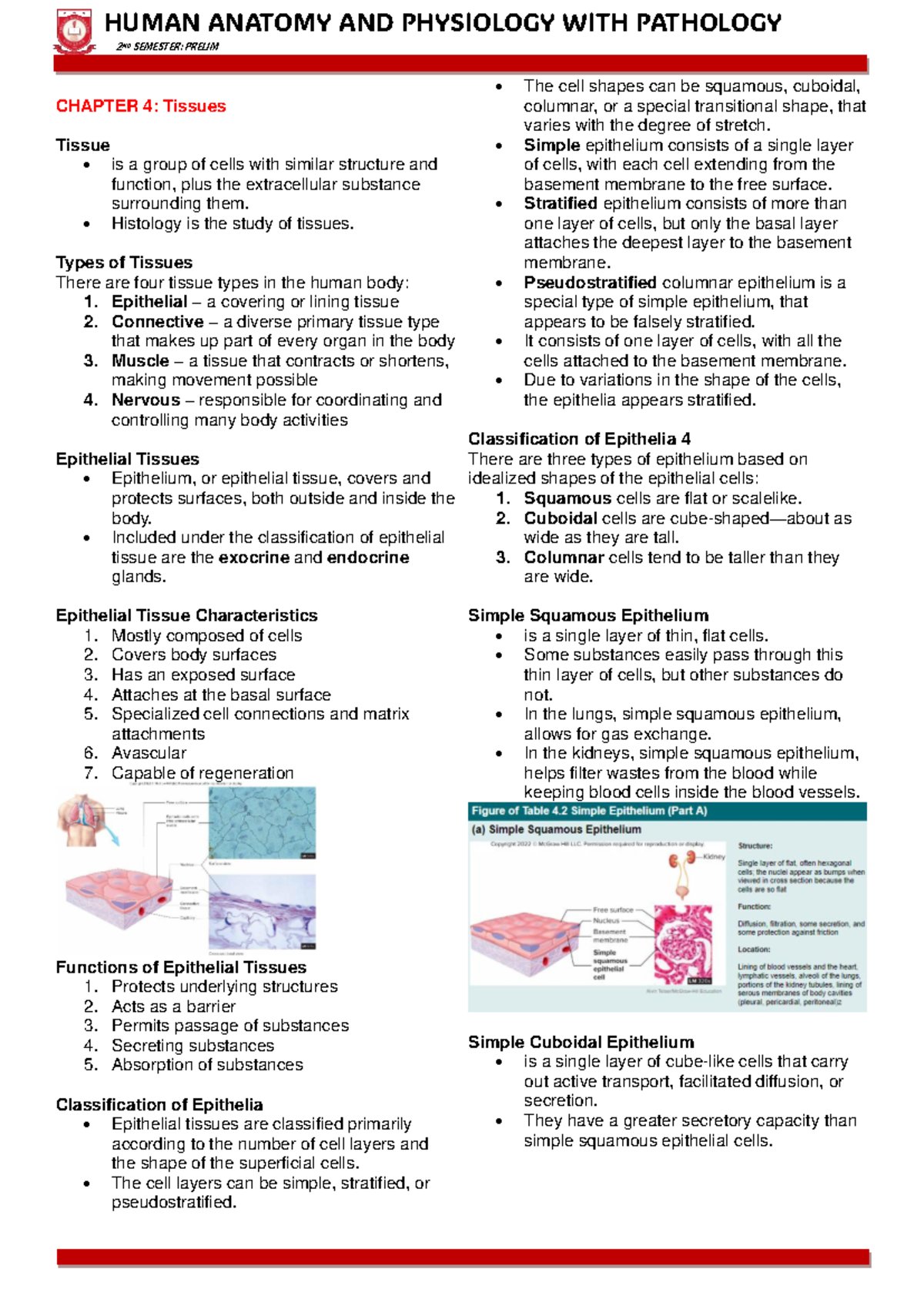 710121411 HAPP LEC Chapter 4 - 2 ND SEMESTER: PRELIM CHAPTER 4 : Tissues Tissue is a group of ...