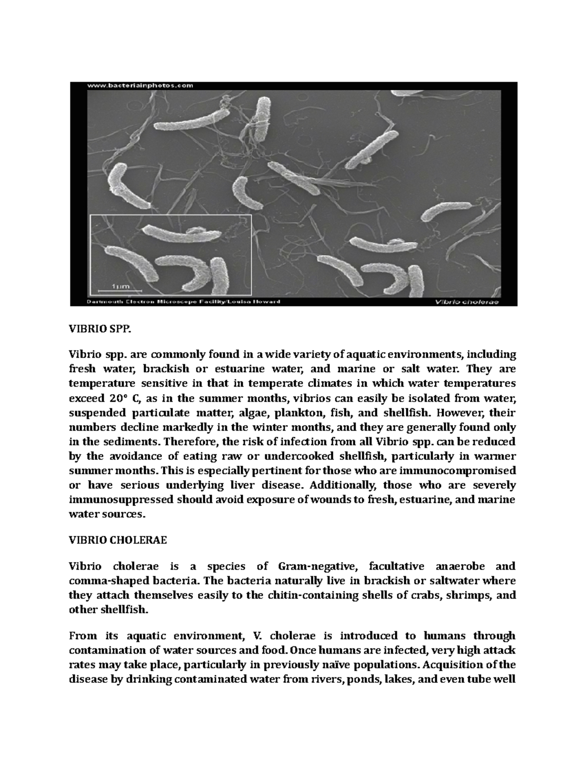 Vibrio Notes to review - VIBRIO SPP. Vibrio spp. are commonly found in ...