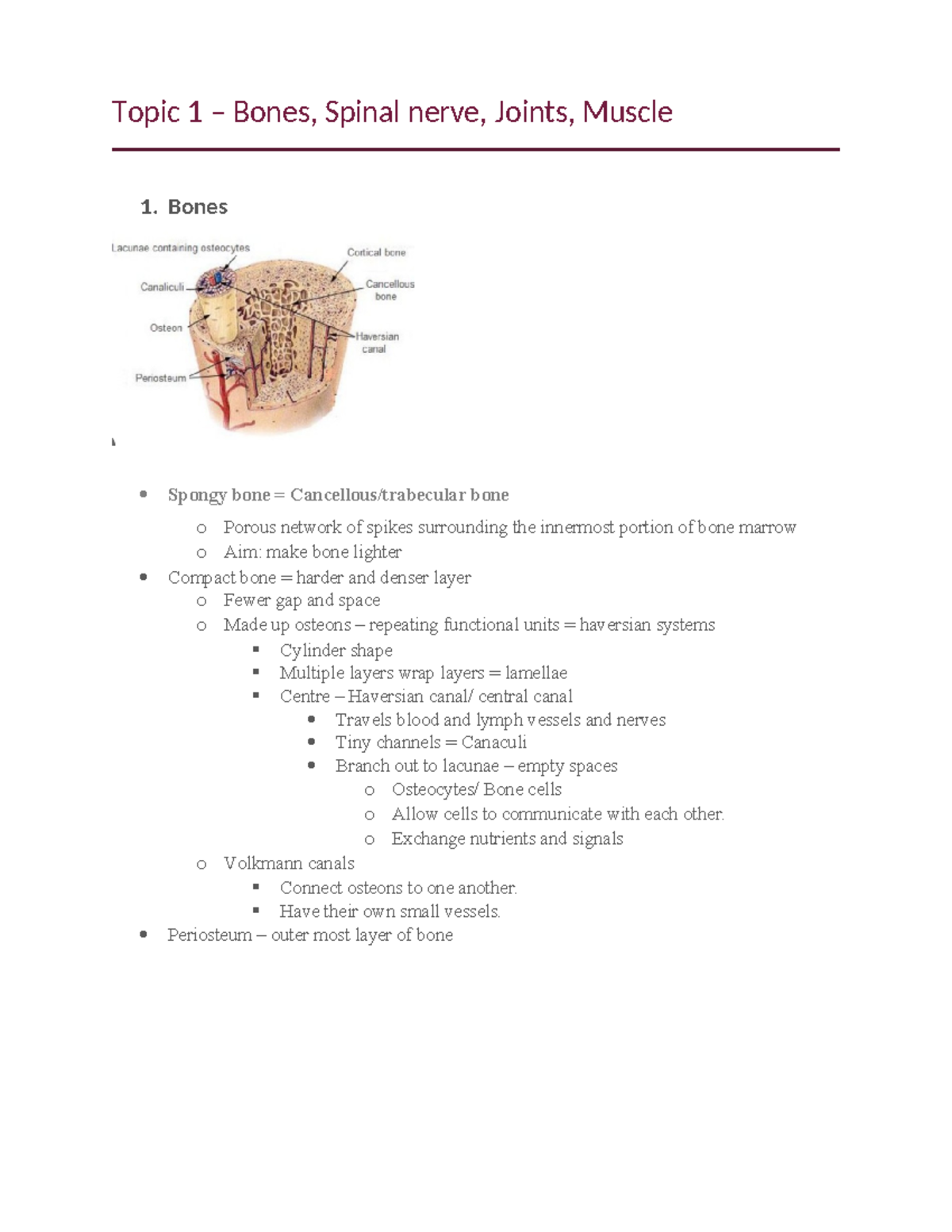 Topic 1 - bone nerves - Topic 1 – Bones, Spinal nerve, Joints, Muscle 1 ...