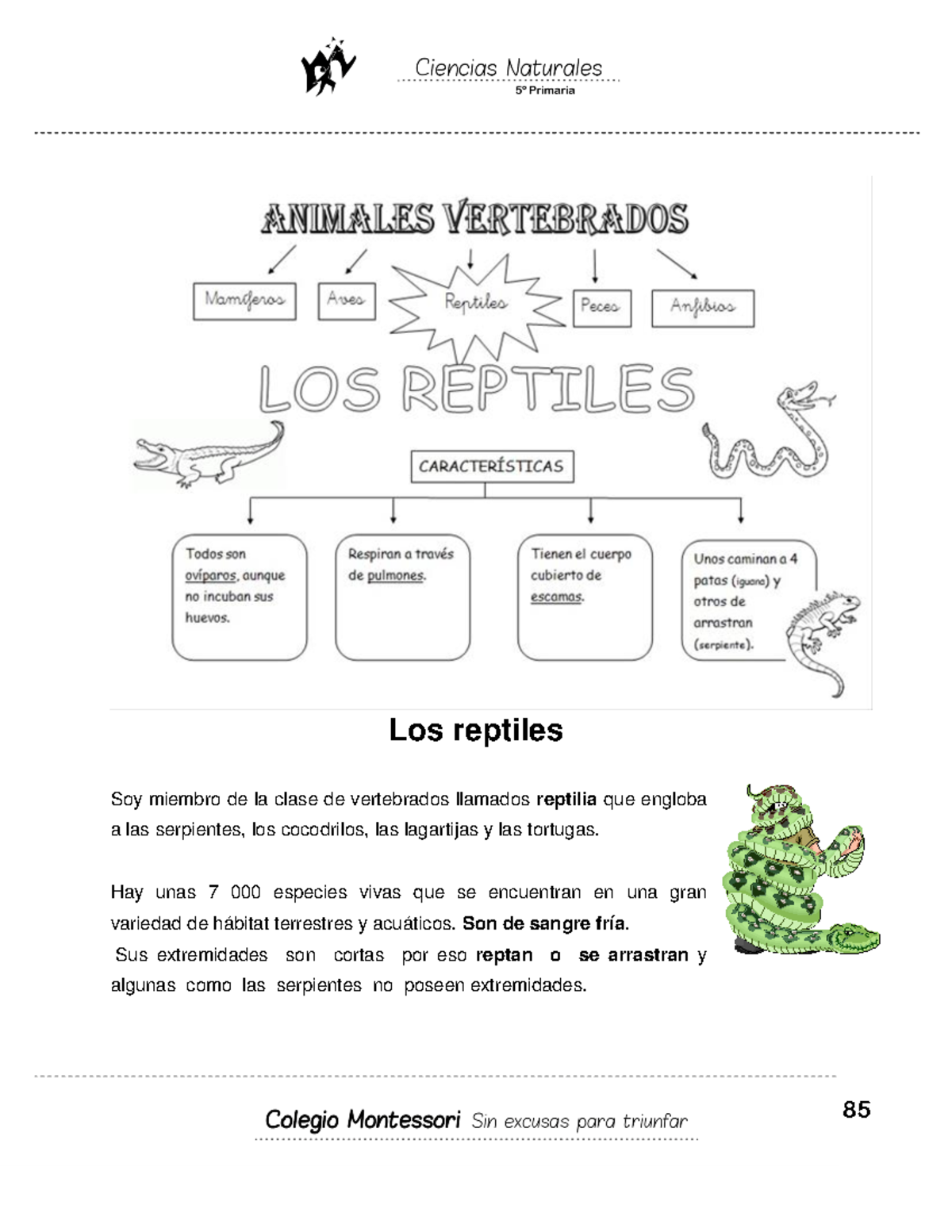 5TO PRIM CN Septiembre PAG18 - Los reptiles Soy miembro de la clase de ...