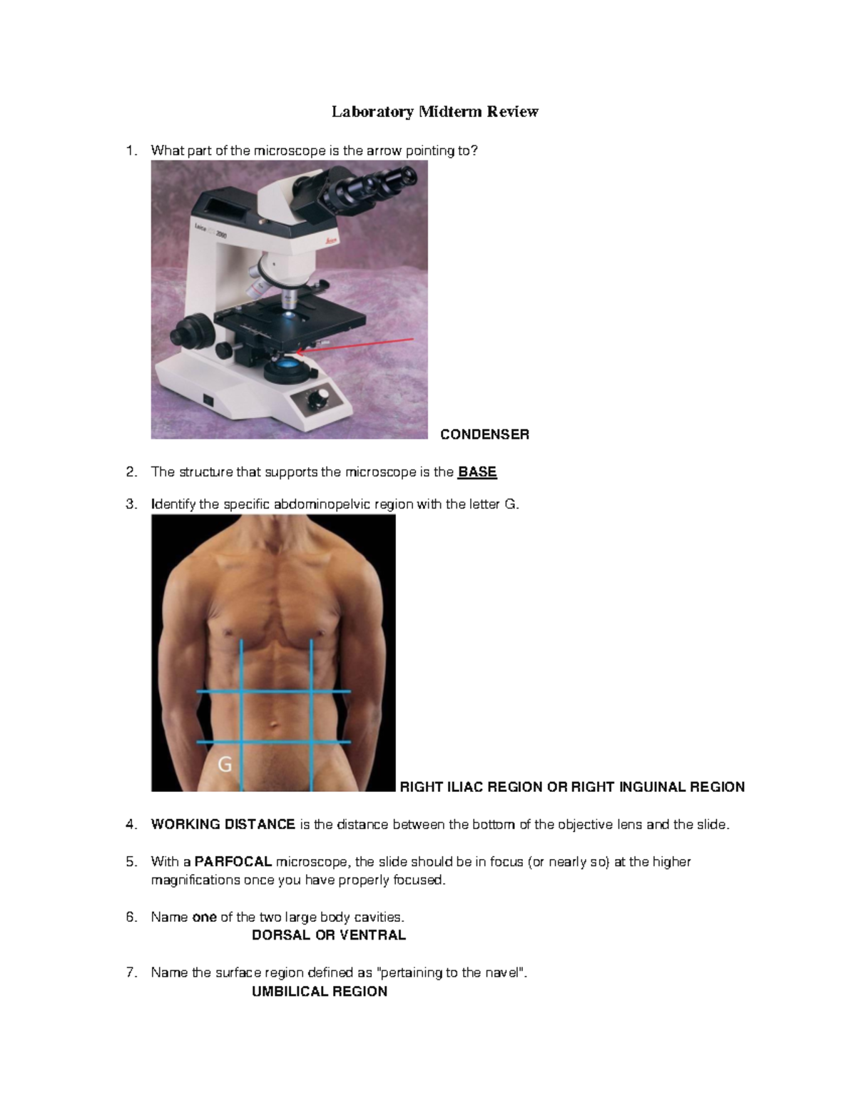 LAB Midterm Review - Laboratory Midterm Review What part of the microscope is the arrow pointing ...