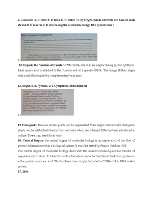 Drawing template DNA forensics - BIOL 312 - Studocu