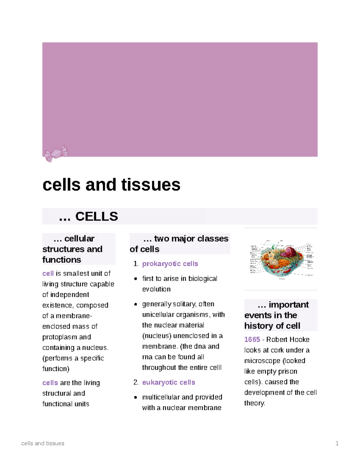 Cells and tissues - cells and tissues ☂... CELLS =... cellular ...