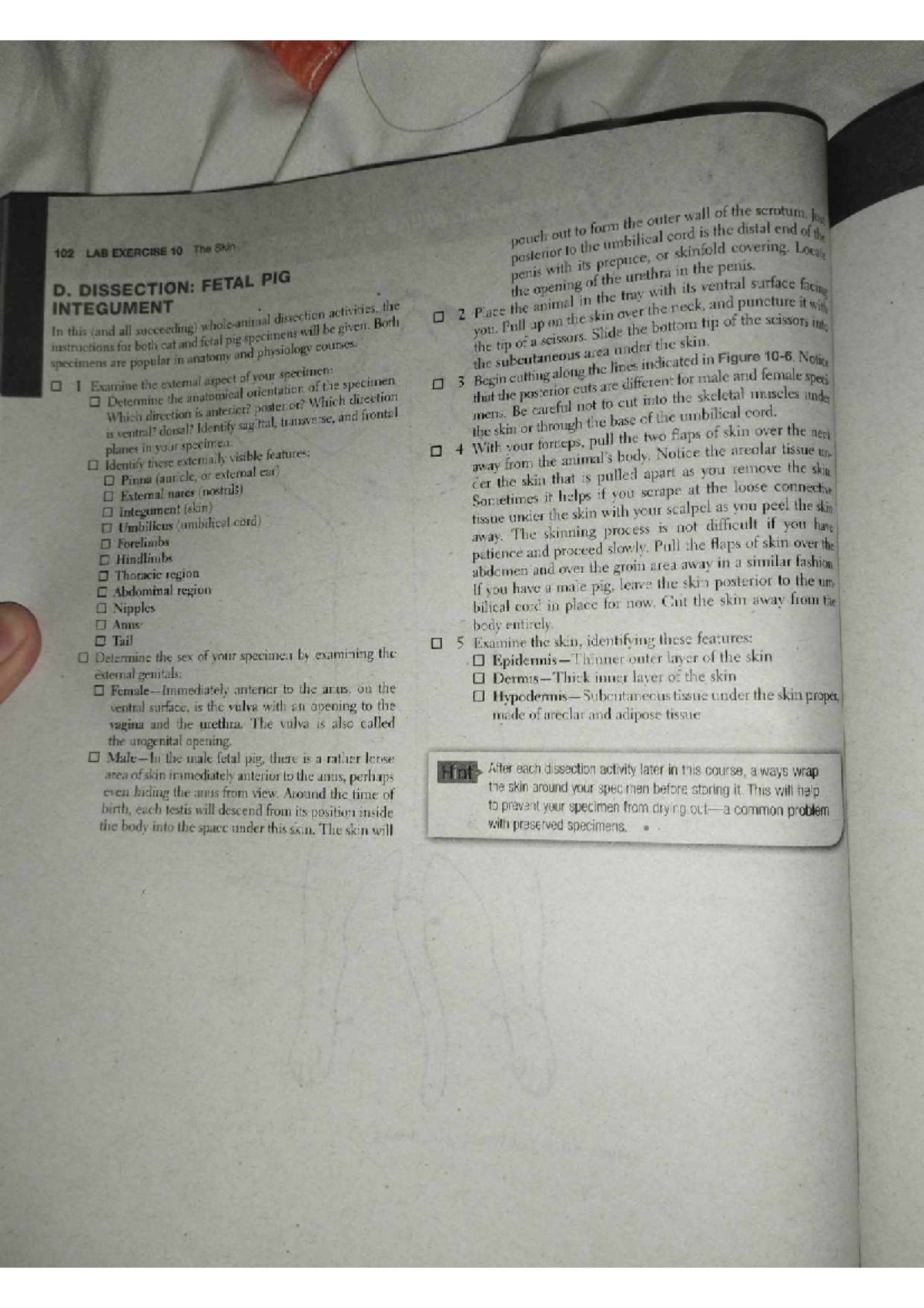 Reviewwwww - Lab manuals - BS Medical Technology - Studocu