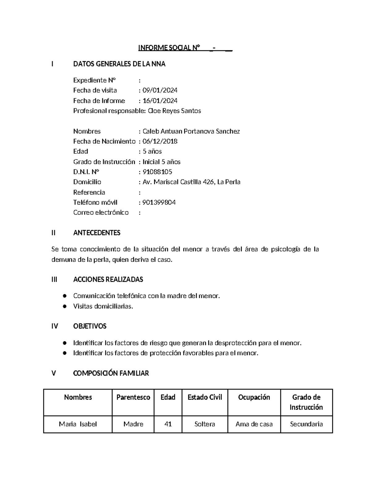 Modelo de Informe Social Demuna - INFORME SOCIAL N° _- __ I DATOS ...