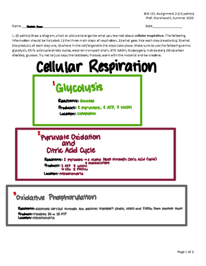 -BIO 101 lecture objectives - BIO 101 - NOVA - Studocu