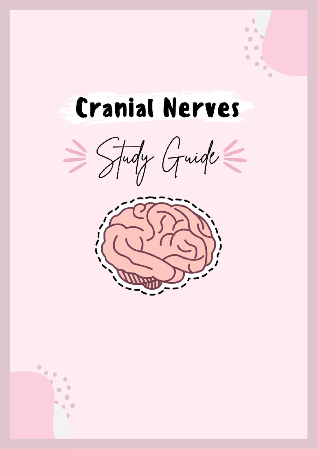 Cranial Nerves Visual Study Guide Studymoofin - NU 204T - Studocu