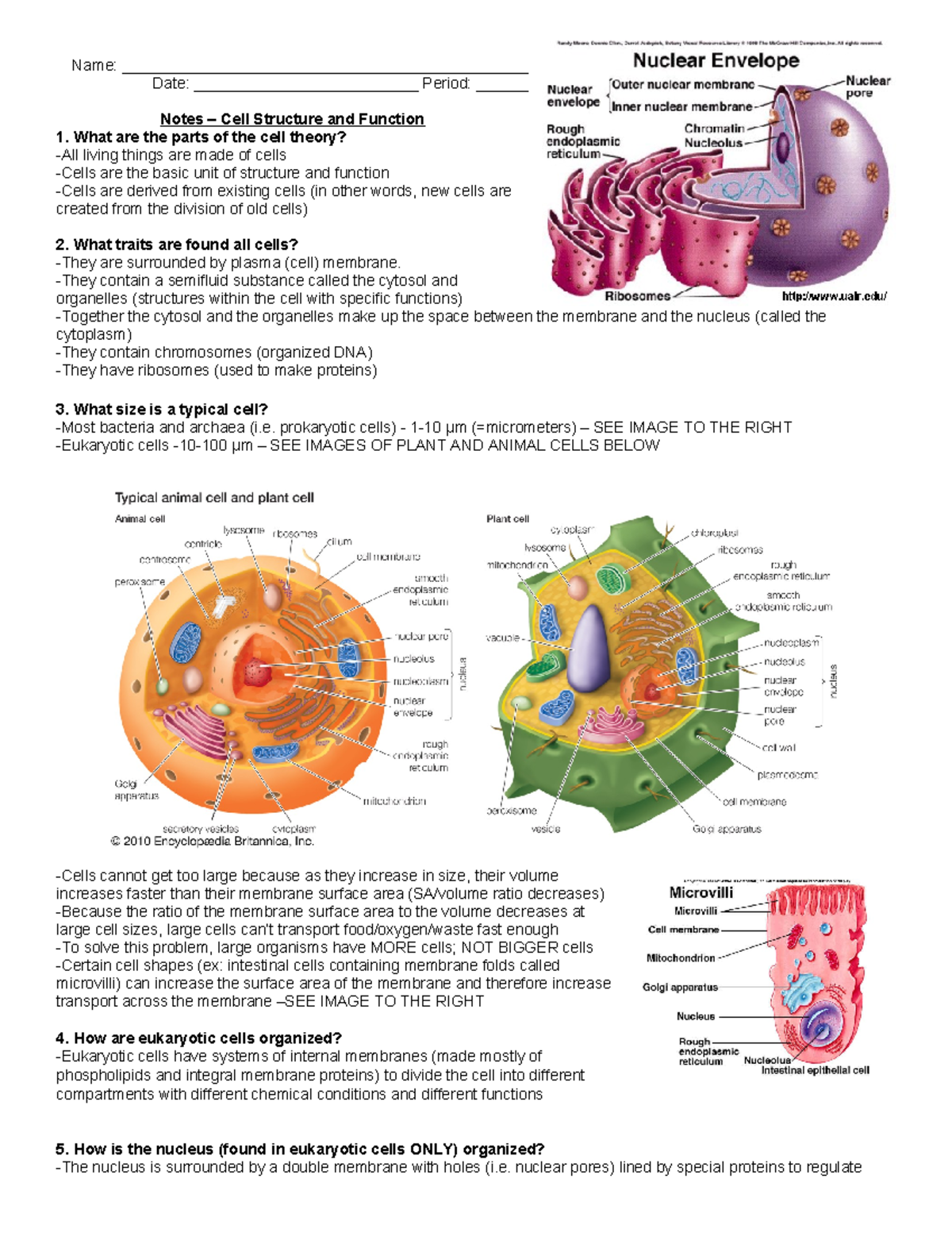 Ap bio Cell Structure Notes - Name ...