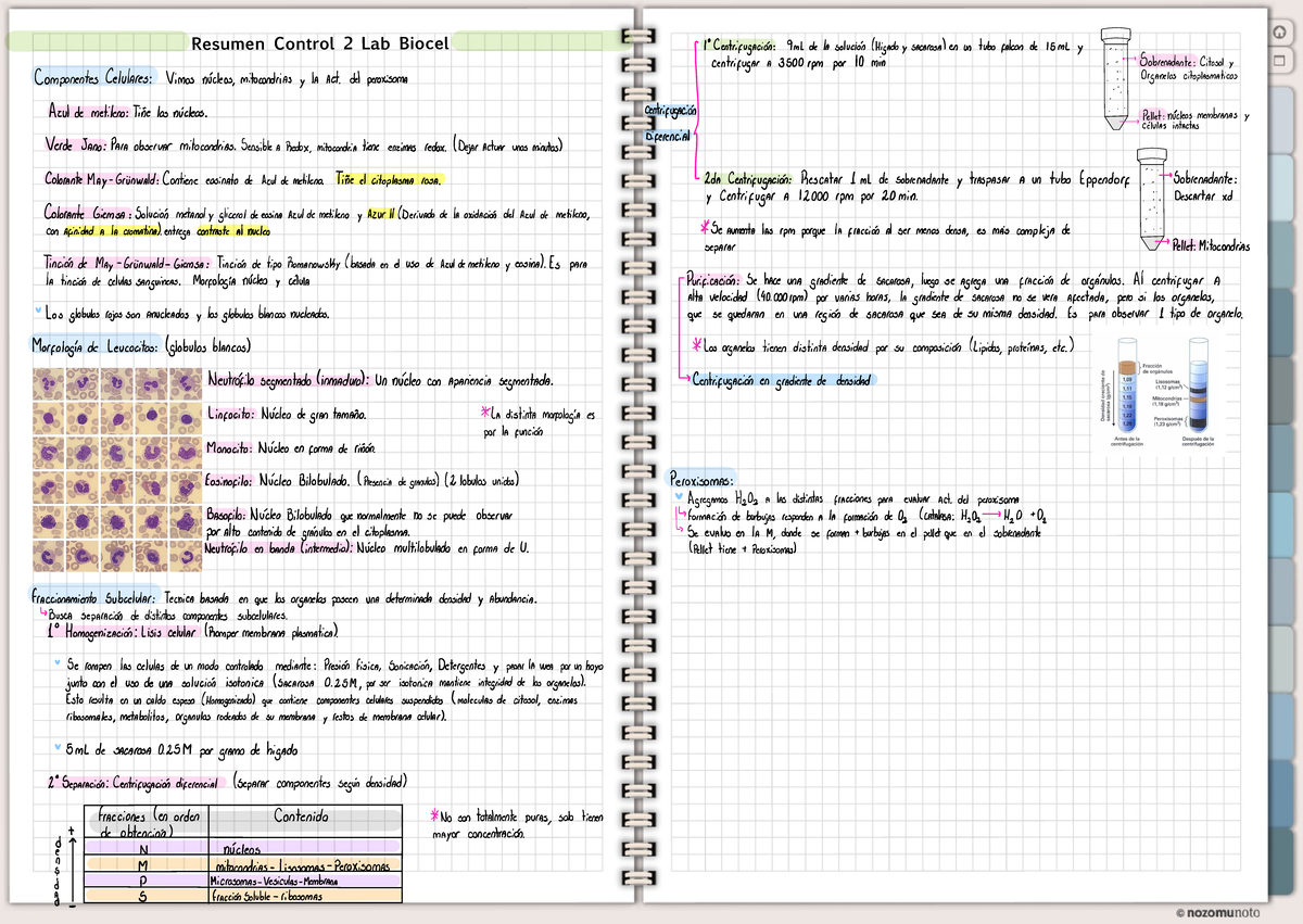 Resumen control 2 lab biocel - 9 ####### Resumen Control 2 Lab Biocel ↓ - po Centrifugación ...