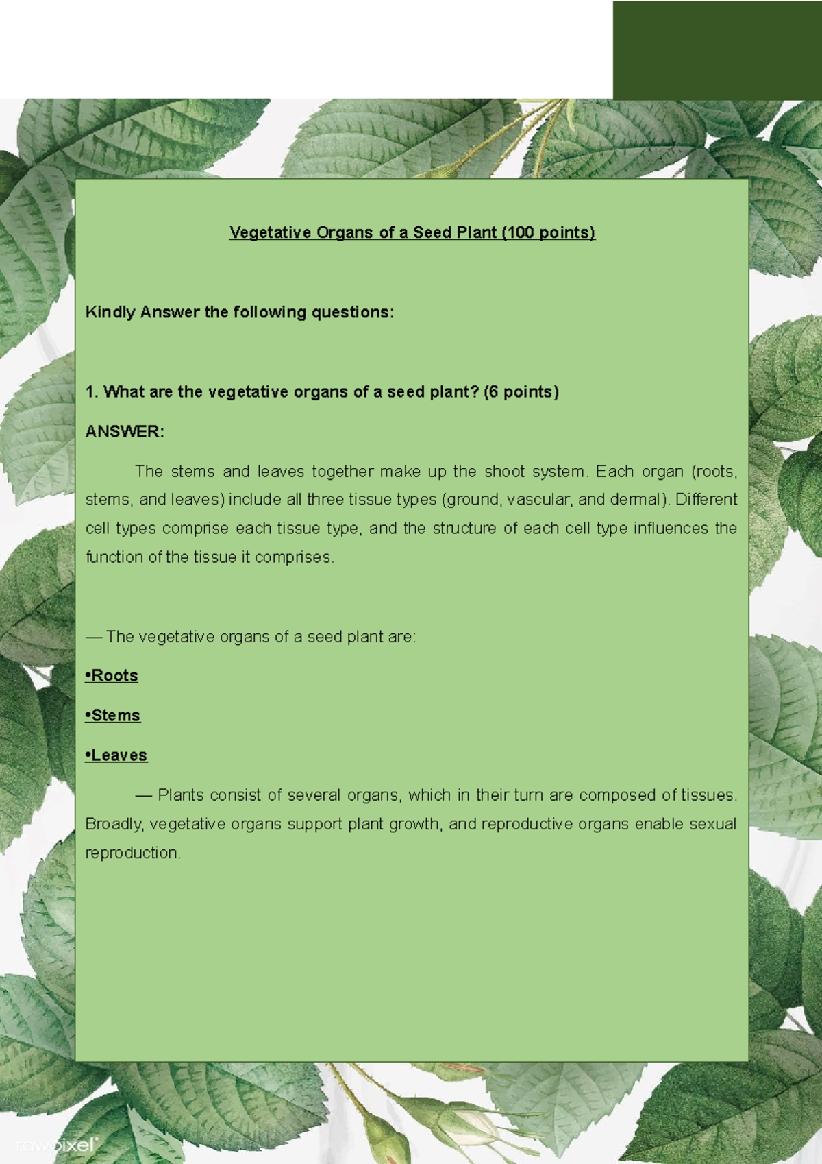 GENERAL BOTANY : Vegetative Organs of a Seed Plants - Vegetative Organs ...