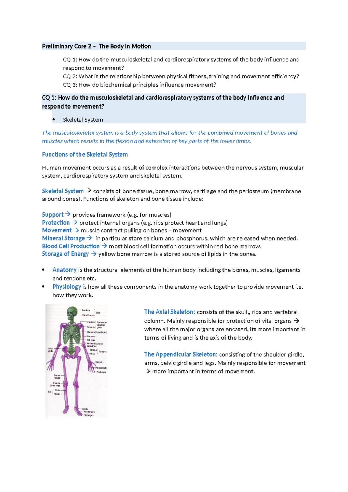 Preliminary Core 2 – The Body in Motion - Preliminary Core 2 – The Body ...