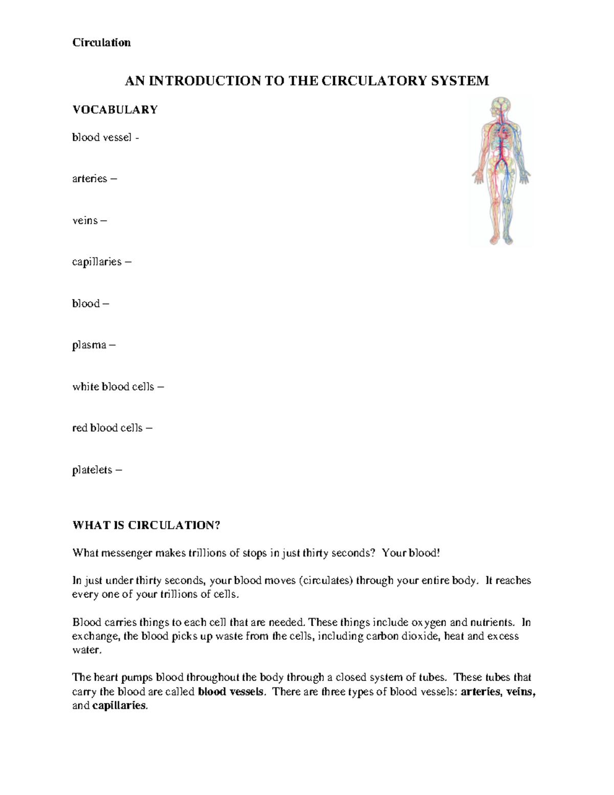Tristan Rodriguez - Circulatory System LMF - AN INTRODUCTION TO THE ...