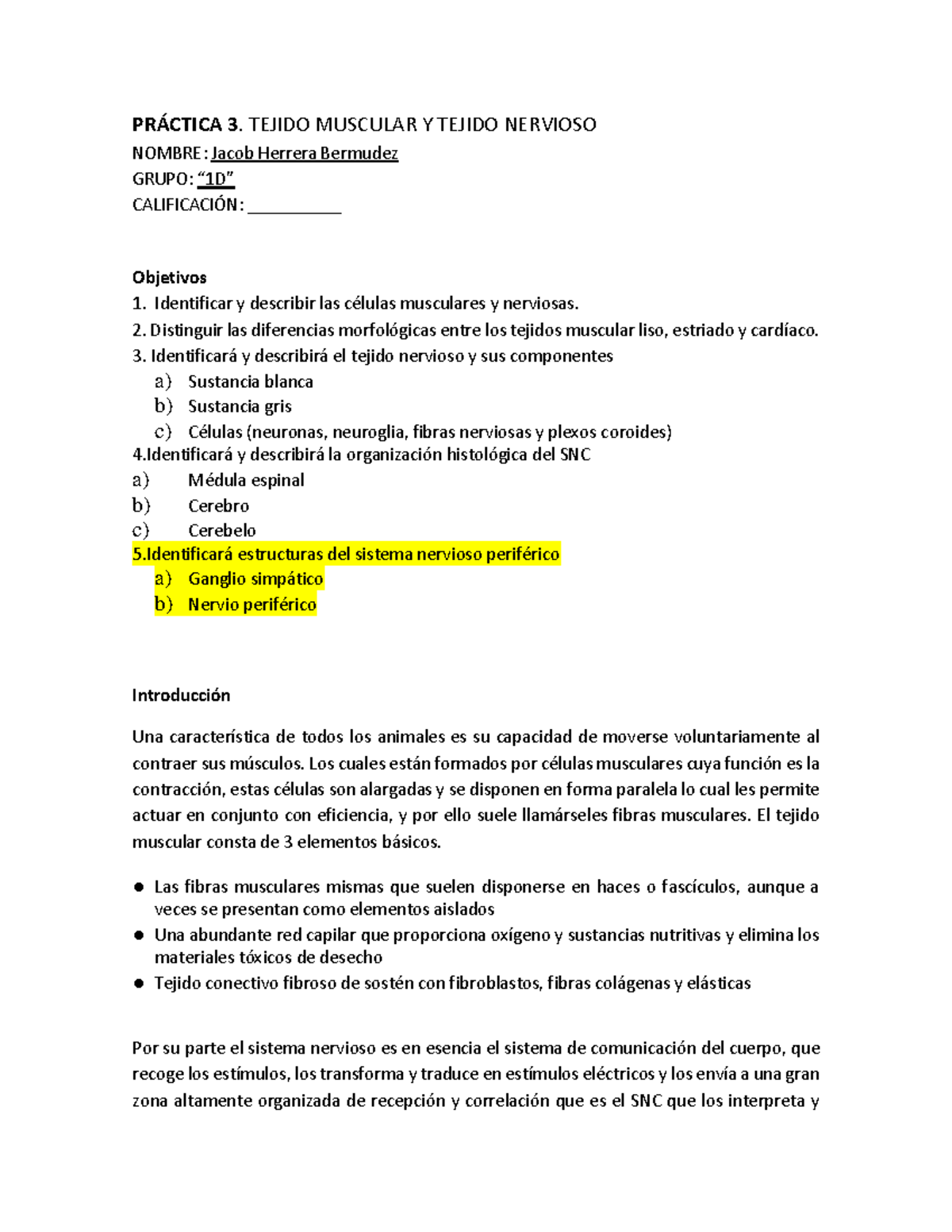 Practica 4 tejido muscular y nervioso - PR¡CTICA 3. TEJIDO MUSCULAR Y TEJIDO NERVIOSO NOMBRE ...