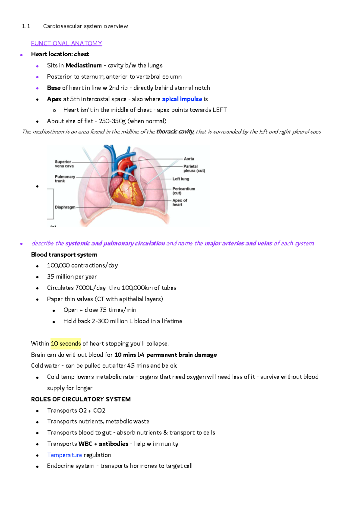Anatomyphysiology-ii-notes - 1 Cardiovascular system overview ...