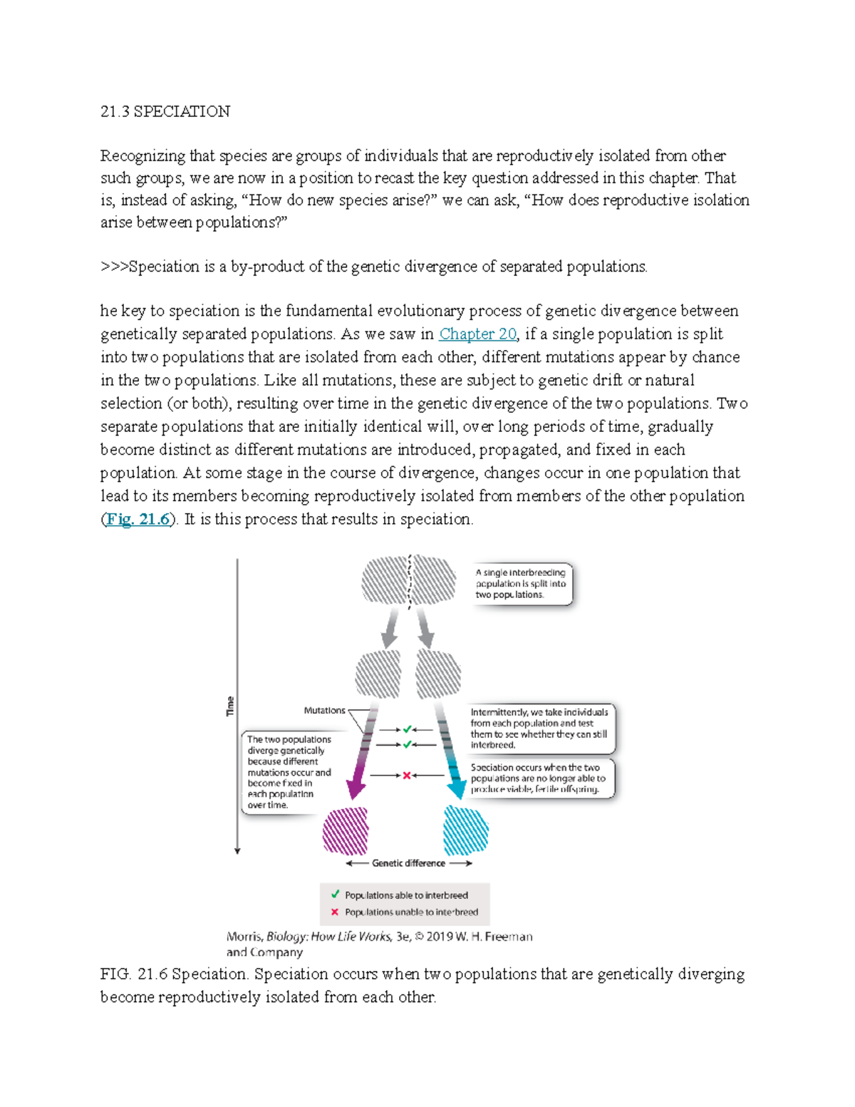 Speciation: Genetic Divergence and Reproductive Isolation - Studocu