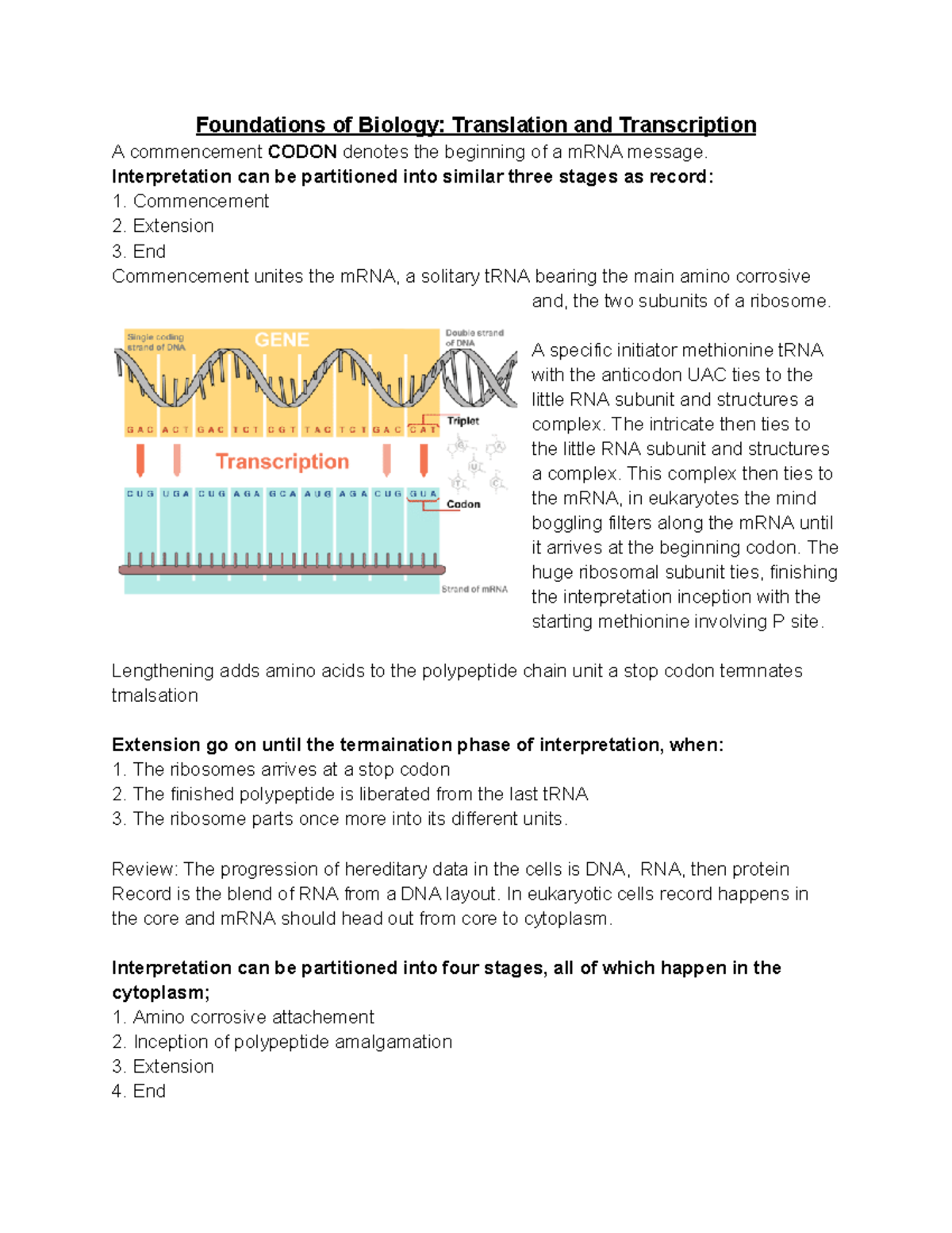 Foundations of Biology Translation and Transcription - Interpretation ...