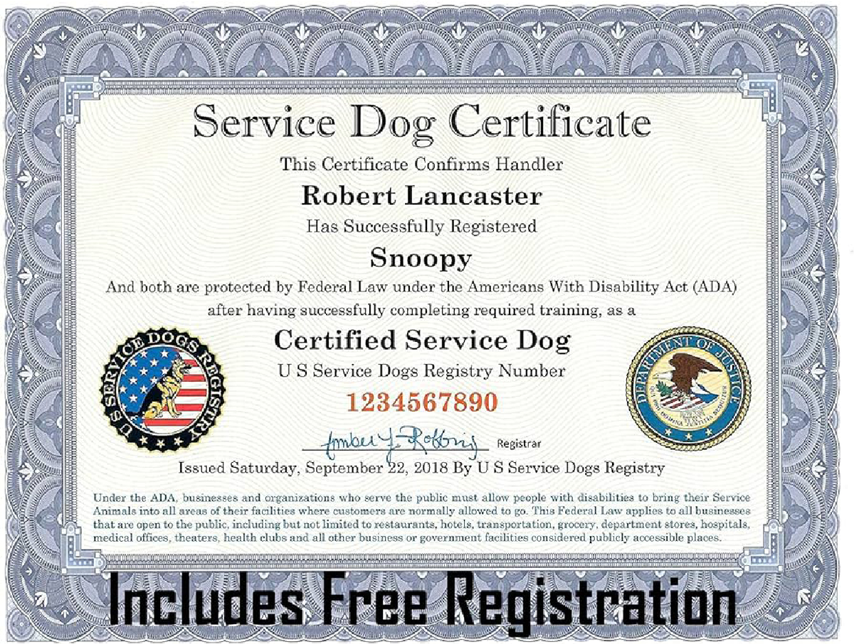 Service dog - Public Relations - Studocu
