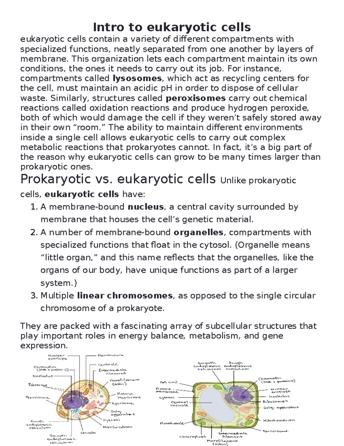 Prinnt - Intro to eukaryotic cells eukaryotic cells contain a variety ...