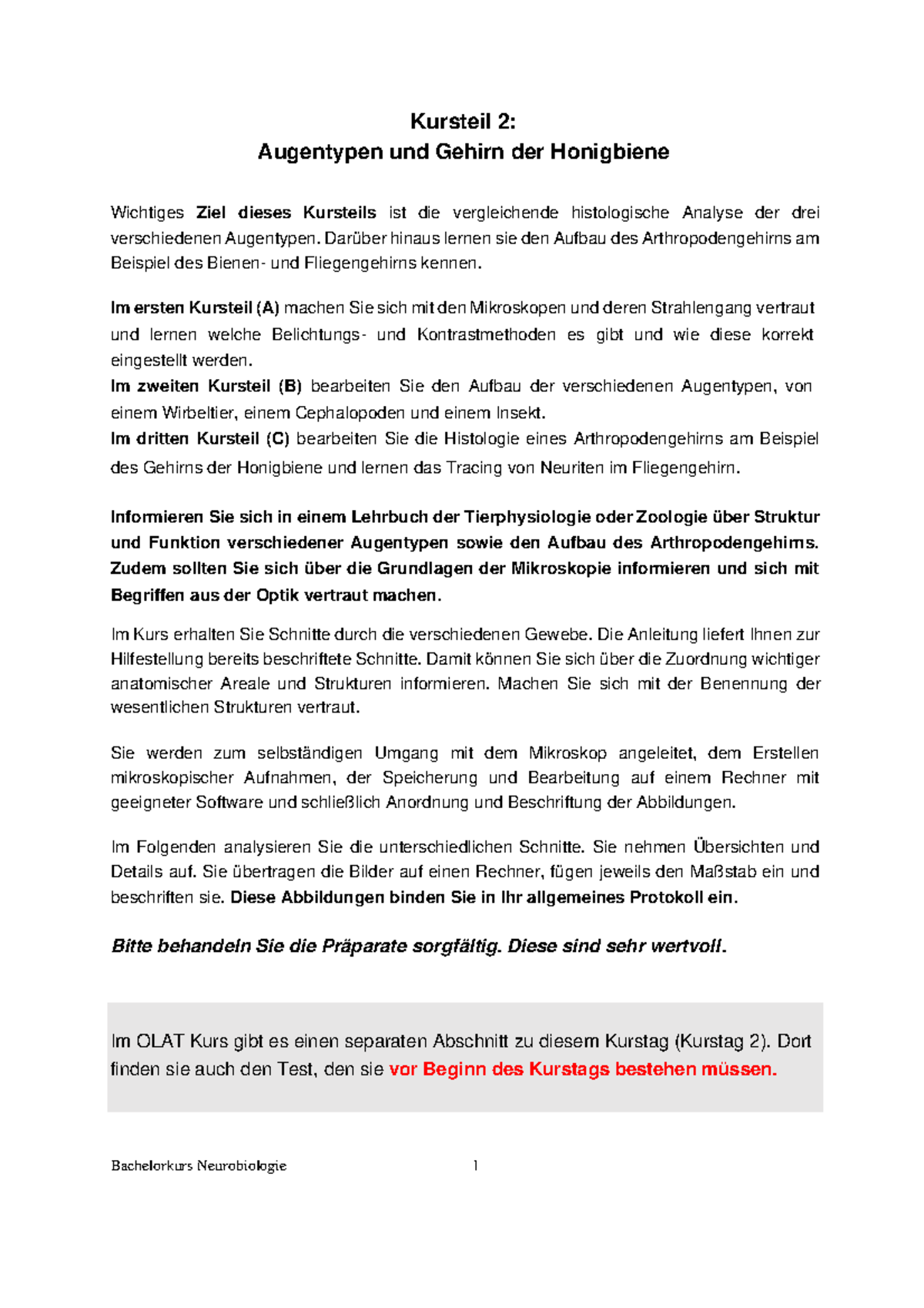 Neurobio I - 02 - Augentypen und Bienengehirn Skript - So Se 2023 ...