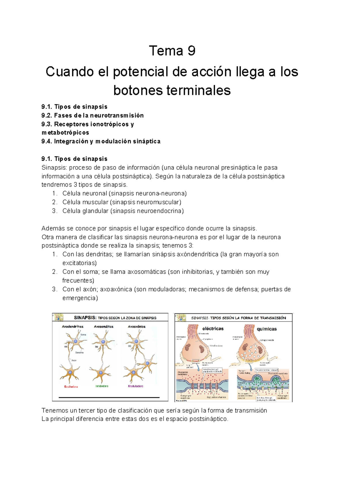 Tema 9 - apuntes - Tema 9 Cuando el potencial de acción llega a los ...