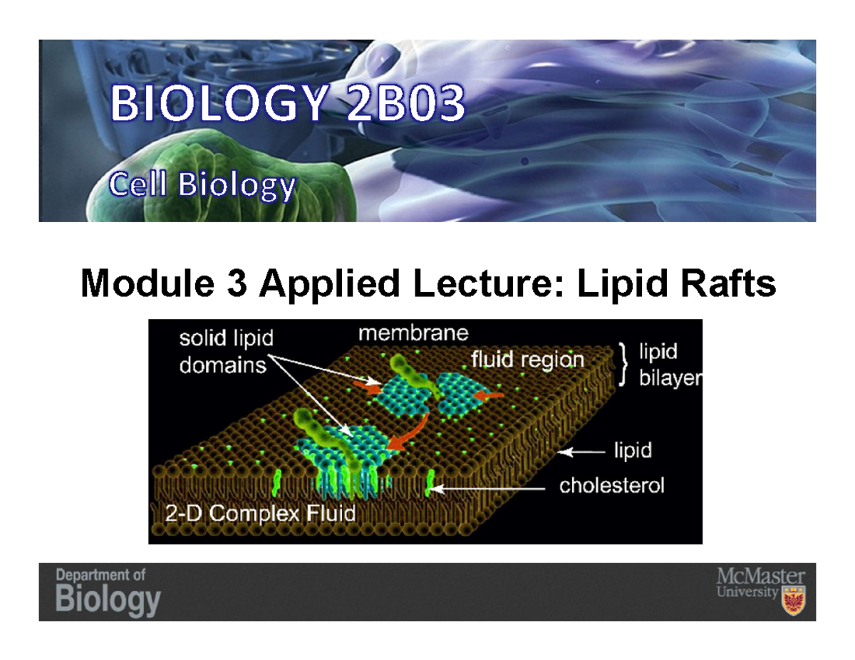 Applied Lecture 3 - .. my lipid rafts! Fluid mosaic model of the cell ...