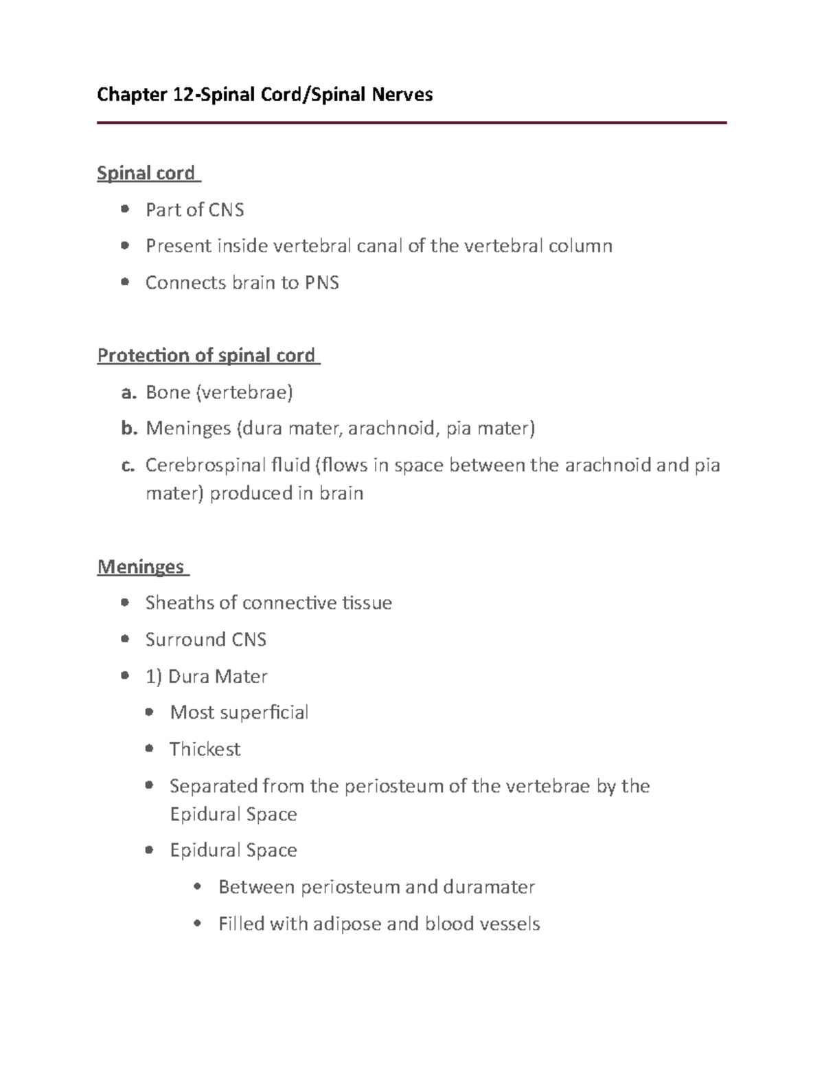 Chapter 12 notes - review - Chapter 12-Spinal Cord/Spinal Nerves Spinal ...
