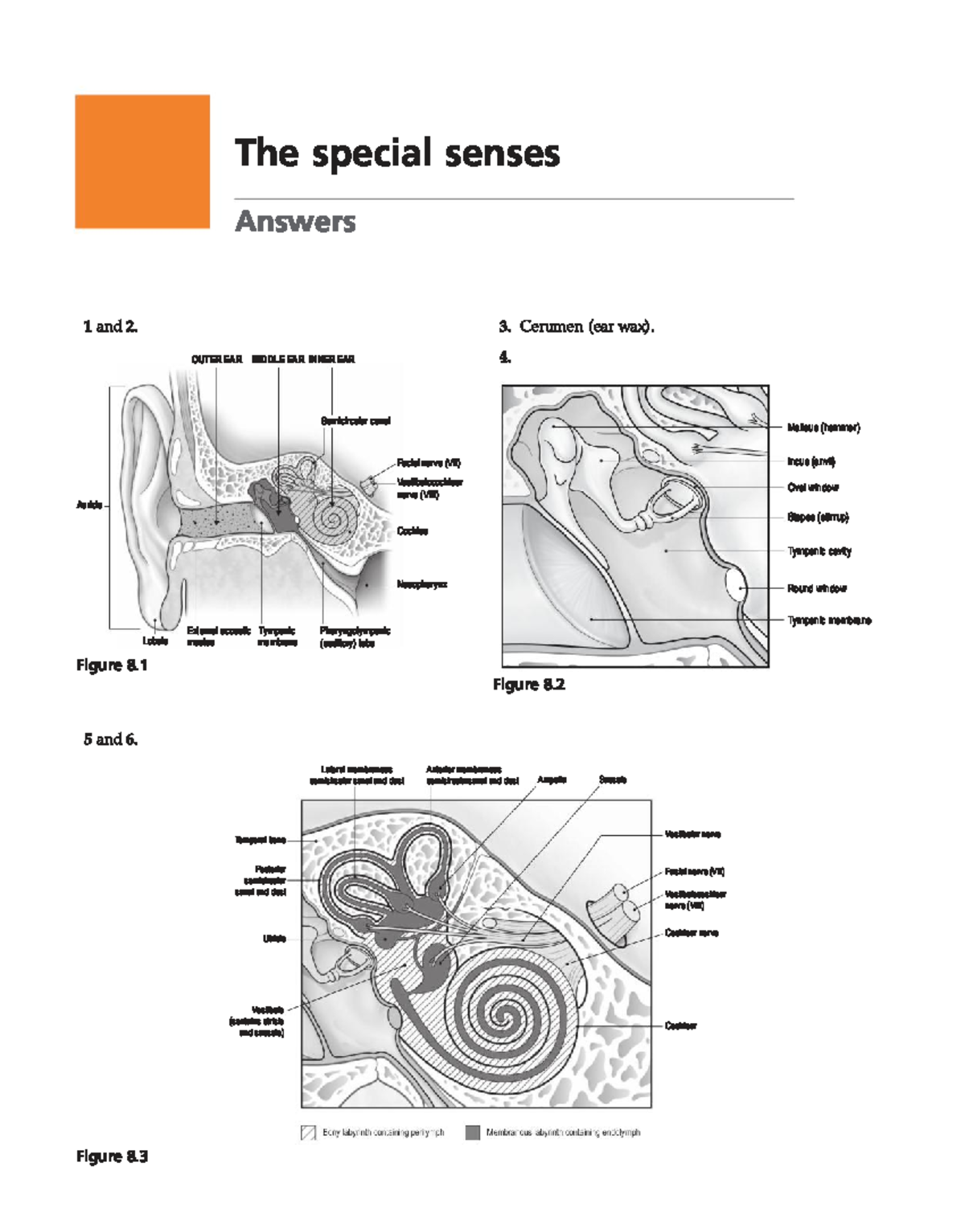 Tutorial Unit 7 (Answer) - The special senses Answers 1 and 2. Auricle ...