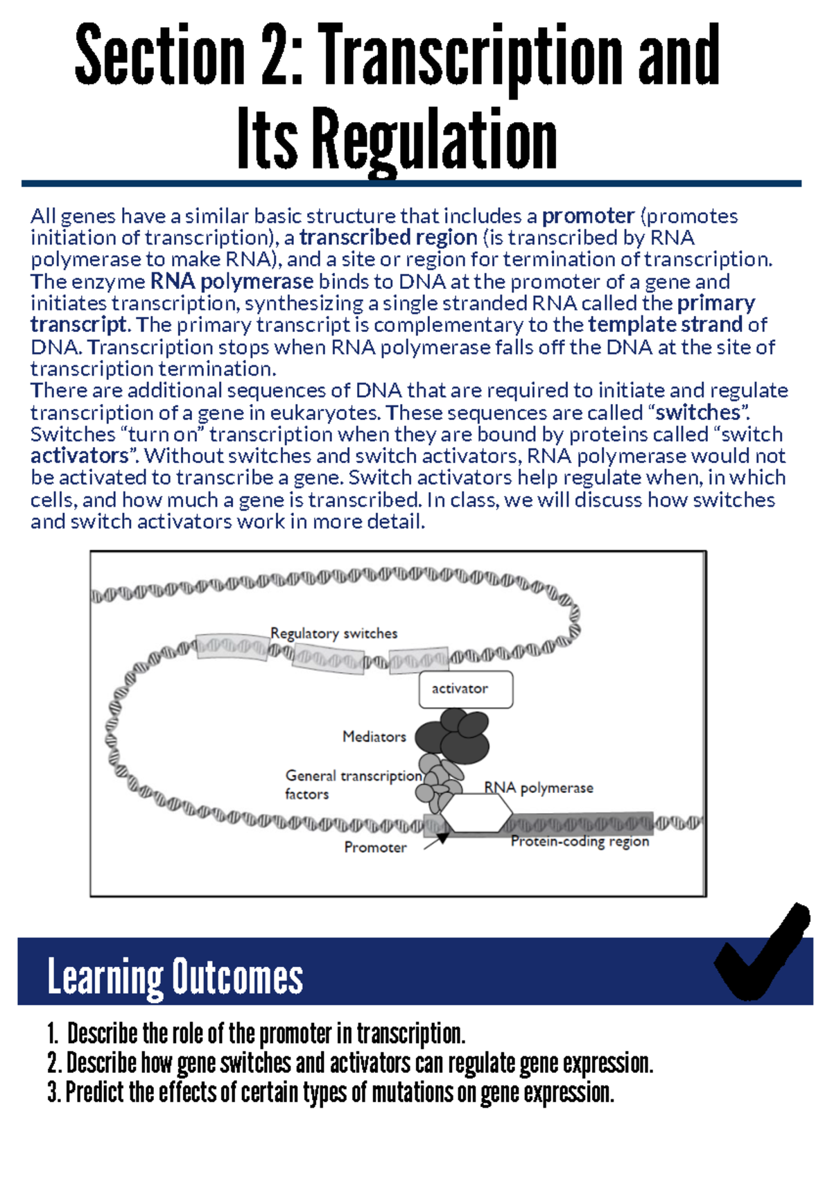 Section 2: Transcription and Its Regulation - Section 2: Transcription ...