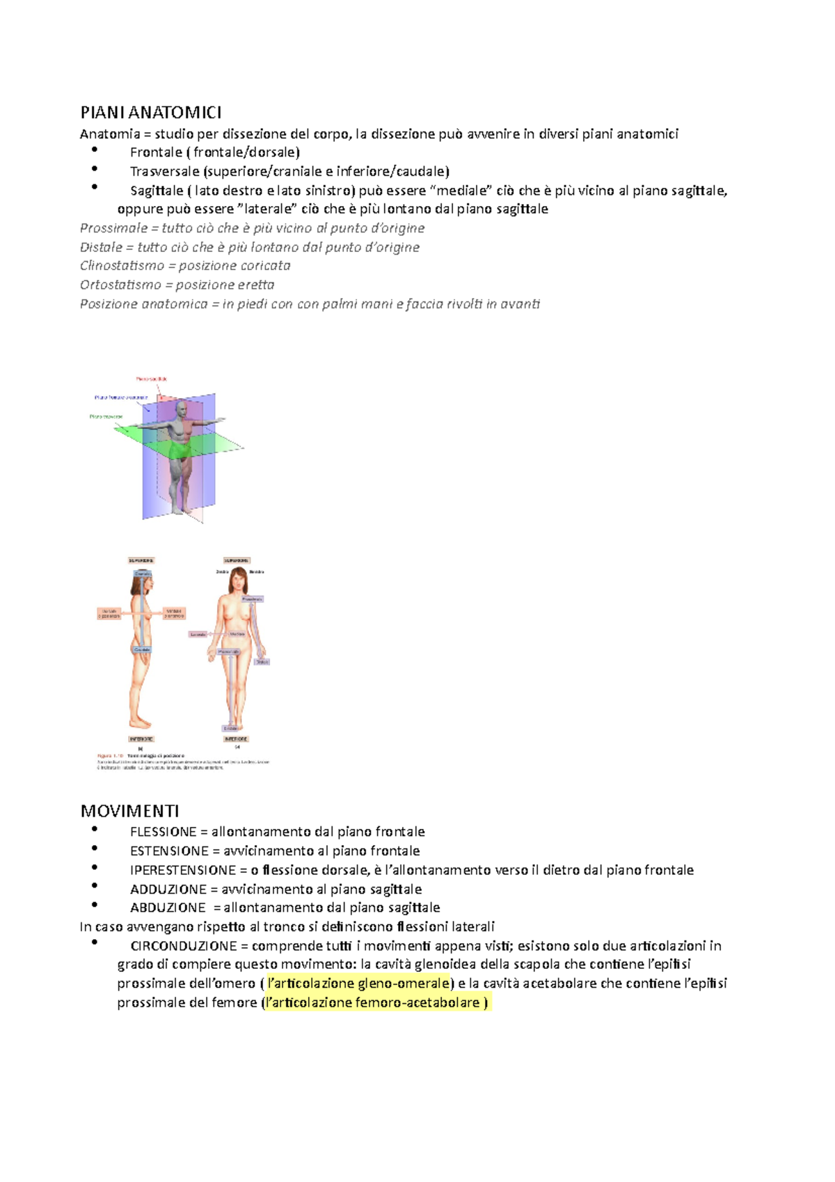 1 intro anatomia - PIANI ANATOMICI Anatomia = studio per dissezione del ...