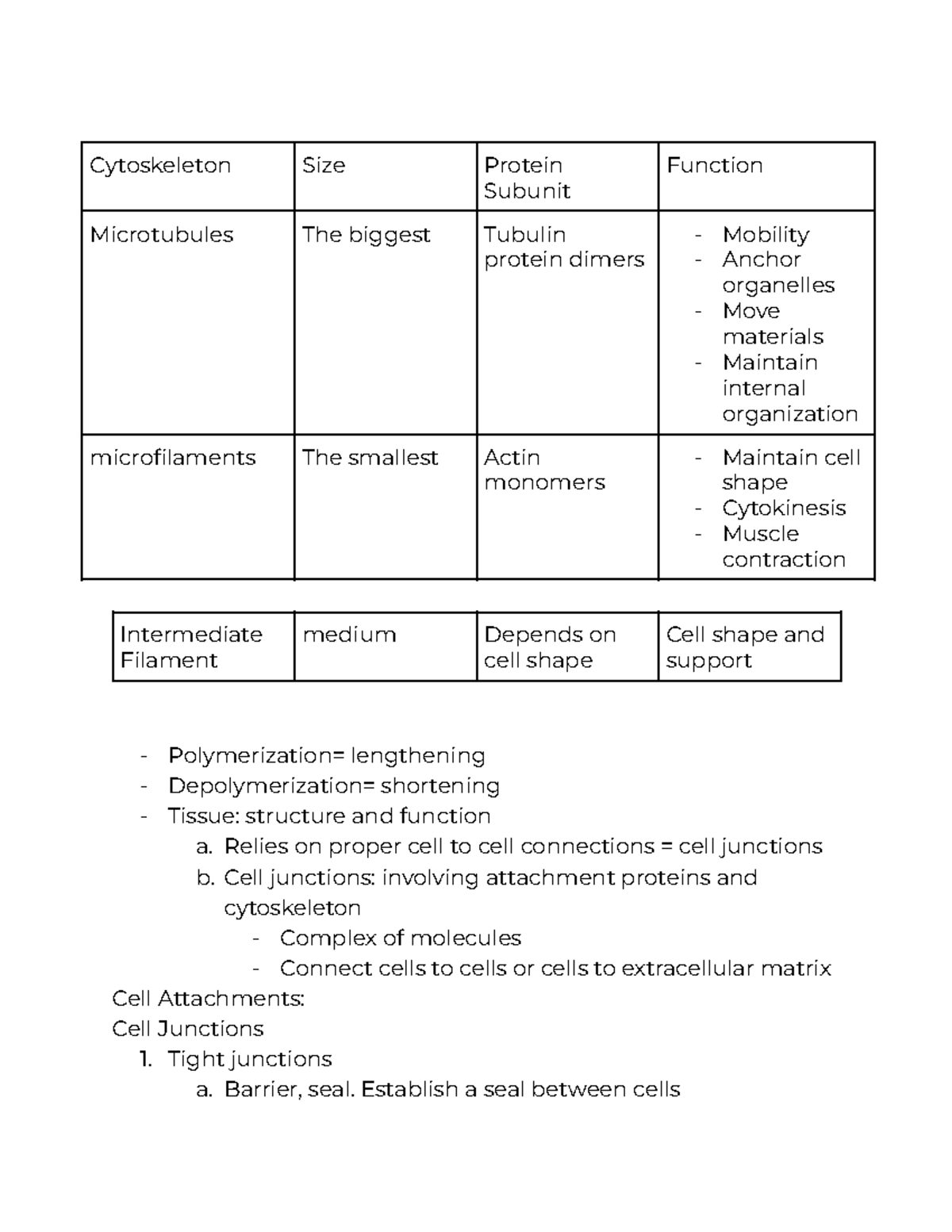 Nov - Professor Deimeke Bio Lecture Notes - Cytoskeleton Size Protein ...