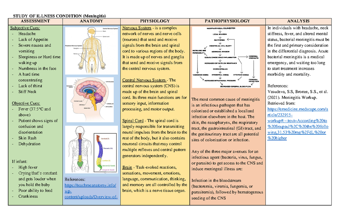 Meningitis merged - dsdsdsds - STUDY OF ILLNESS CONDITION (Meningitis ...
