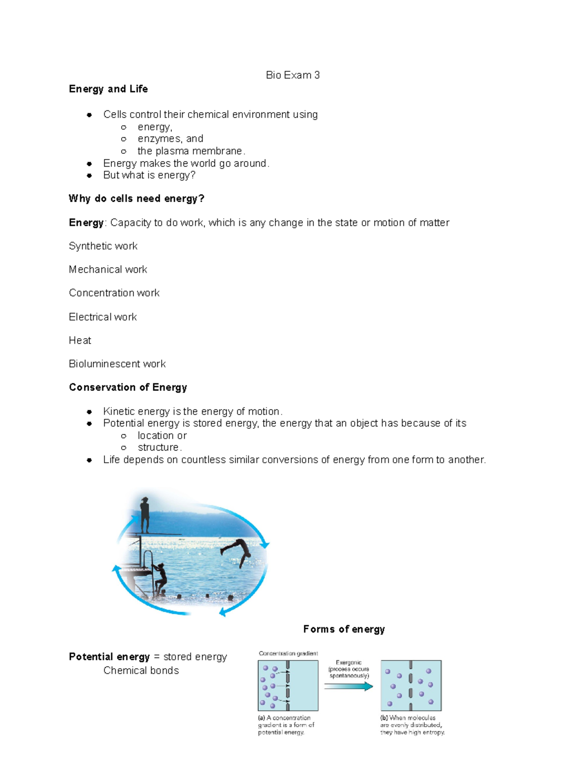 Bio exam 3 - BIO 100 - Bio Exam 3 Energy and Life Cells control their ...