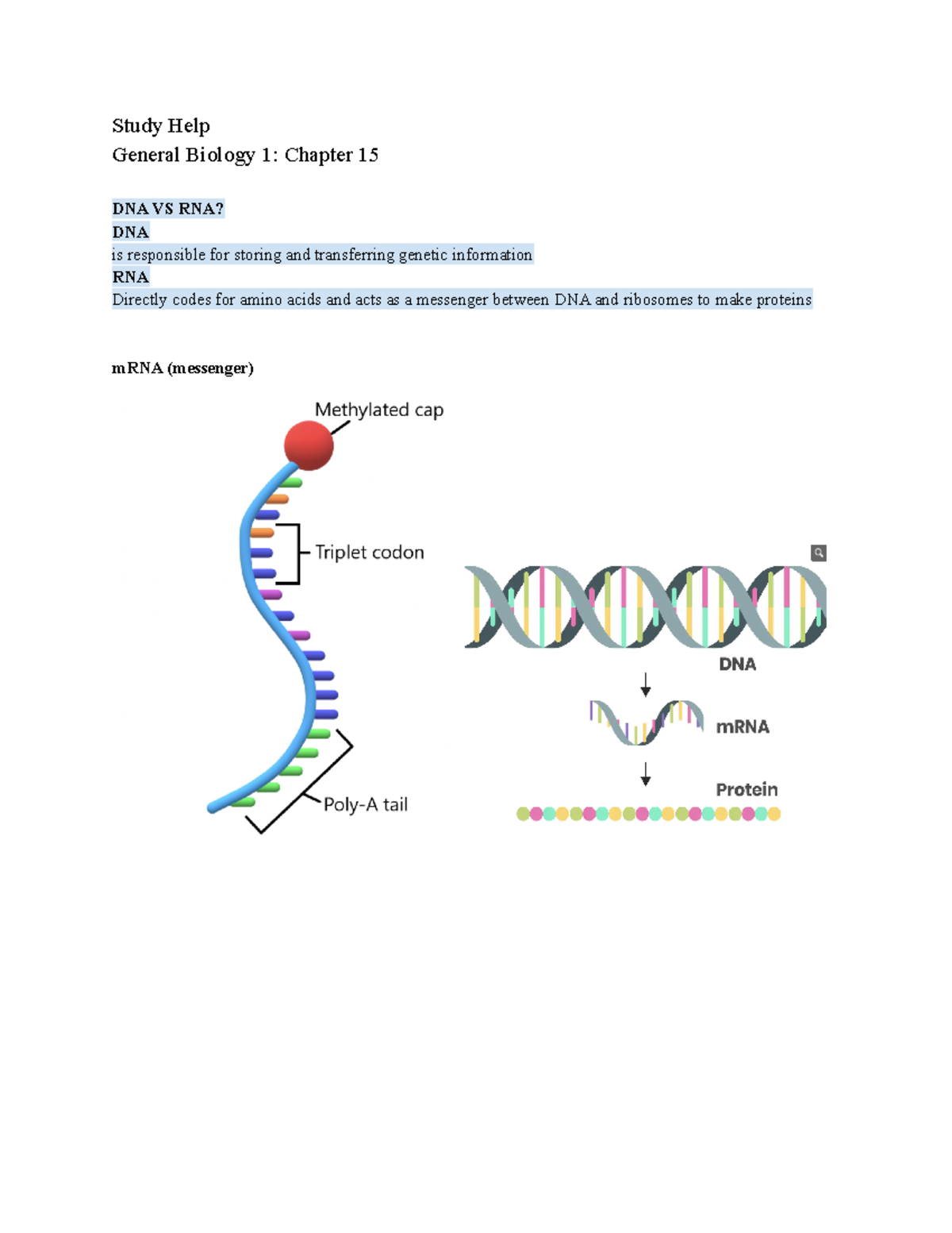Study Sheet - Chapter 15 Biology - Study Help General Biology 1 ...
