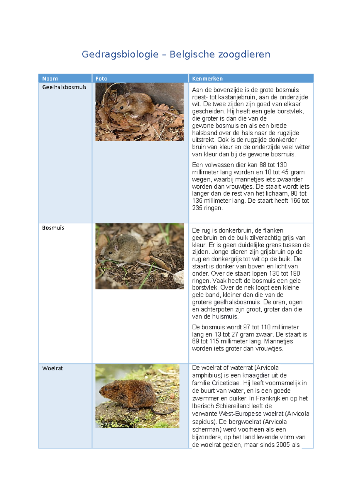 Belgische zoogdieren - Gedragsbiologie – Belgische zoogdieren Naam Foto ...